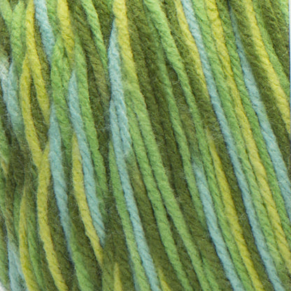 Caron Jumbo: Foliage – Color Pooling Crochet