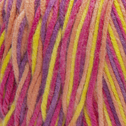 Caron Jumbo: Zinnias – Color Pooling Crochet